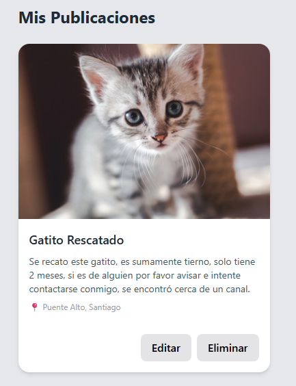 Ignacio Moya E. — Portafolio Profesional