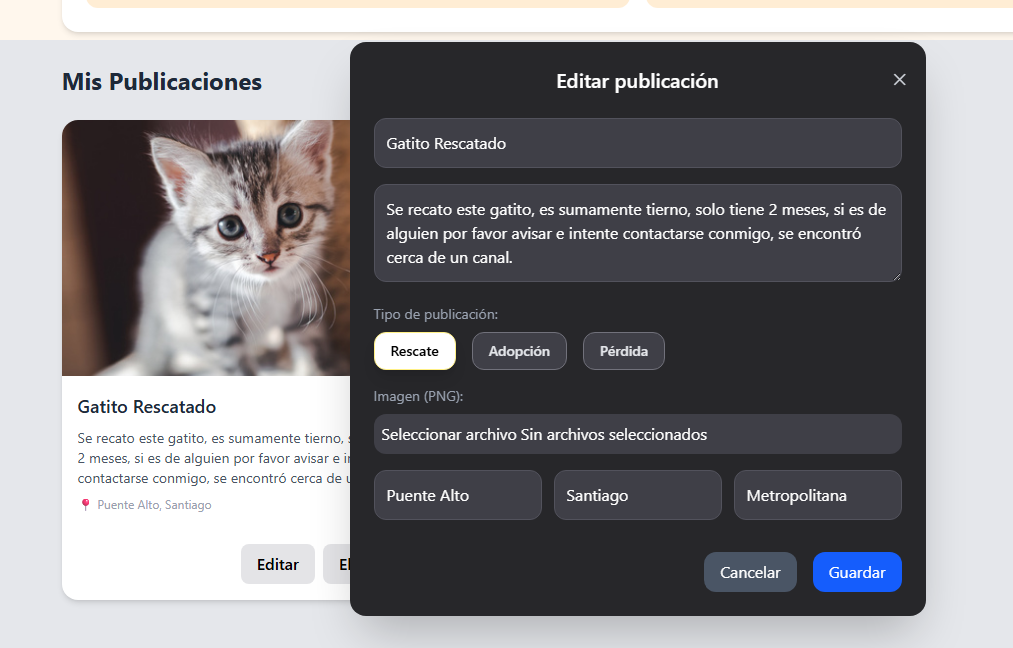 Ignacio Moya E. — Portafolio Profesional