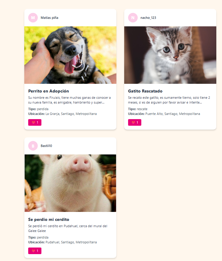 Ignacio Moya E. — Portafolio Profesional